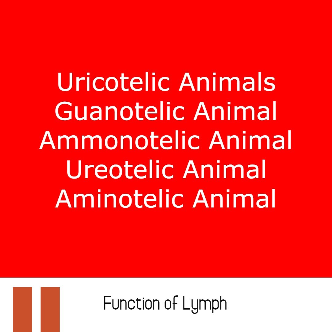 Different modes of excretion in animals - imaluop